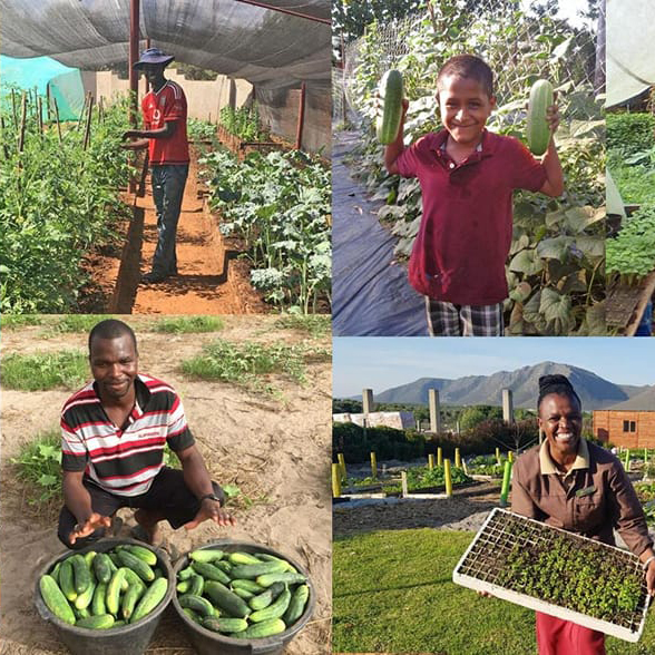 Seed Programs International (SPI) - Global Cultural Adventurers