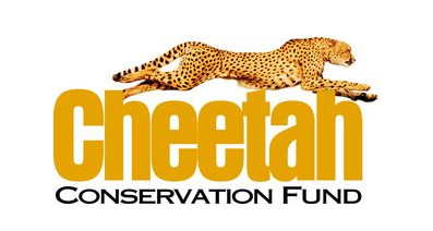 Cheetah Conservation Fund (CCF) - Global Cultural Adventurers